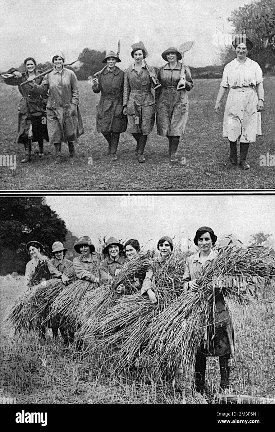 Women workers during ww1 Black and White Stock Photos & Images - Alamy