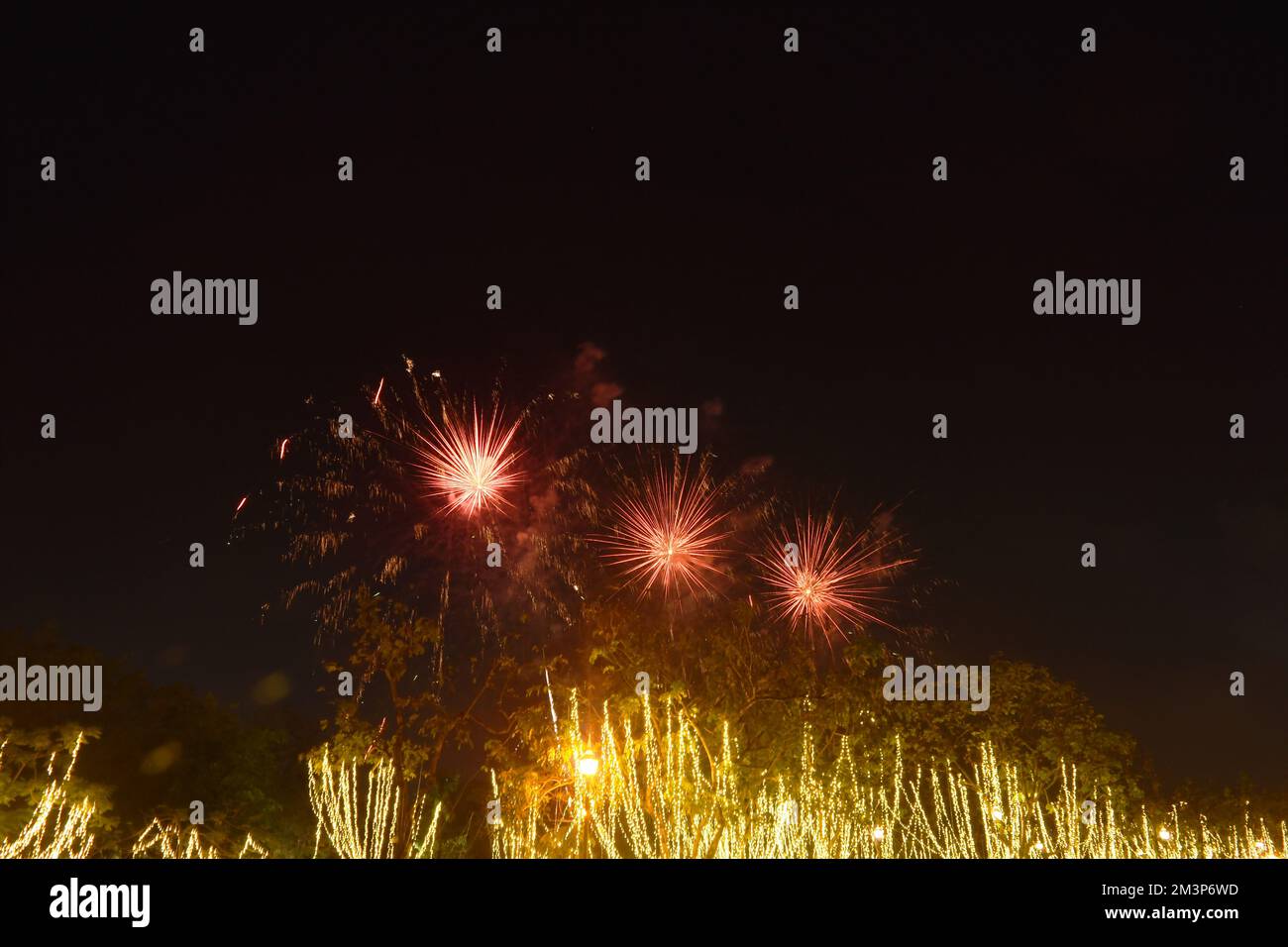 fireworks explosive on dark sky in night Stock Photo - Alamy
