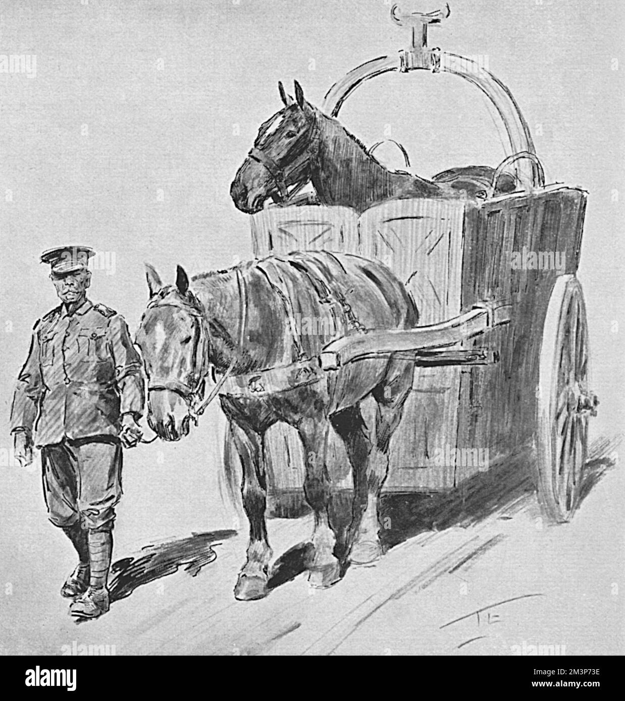 Animal care during ww1 hi-res stock photography and images - Alamy