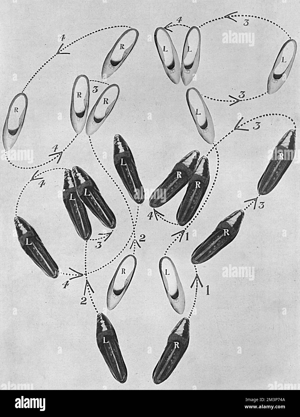 Tango craze: a tango tangle, 1913 Stock Photo - Alamy