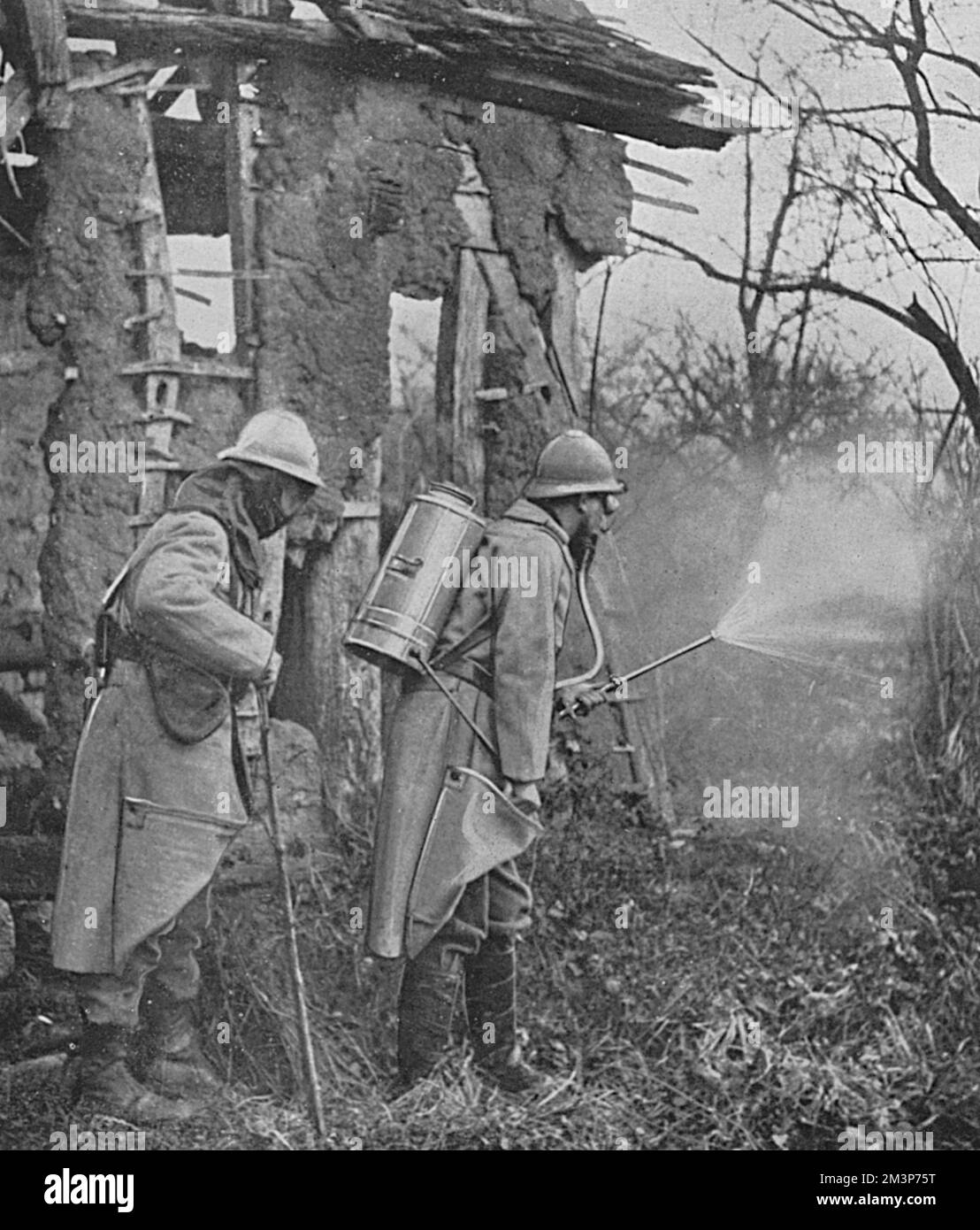 French soldiers spraying disinfectant, WW1 Stock Photo - Alamy