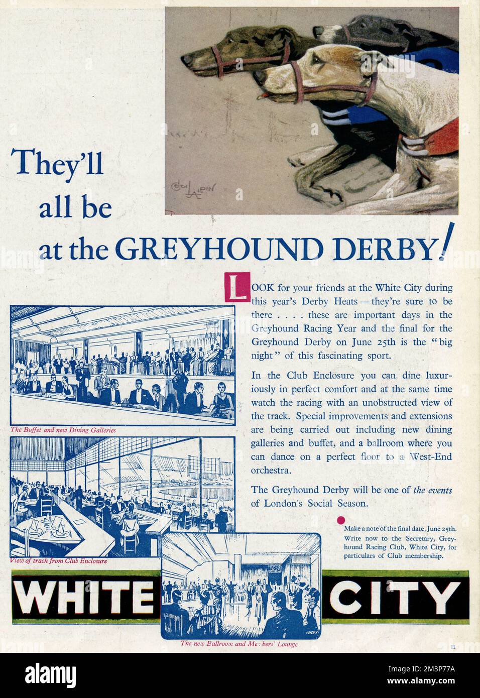 Advert for White City Greyhound Racing 1932 Stock Photo - Alamy