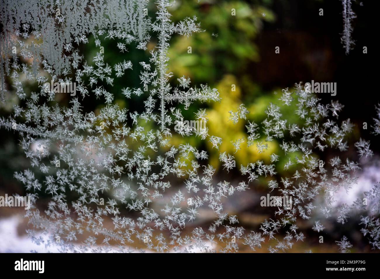 Freeezing temperatures hi-res stock photography and images - Alamy