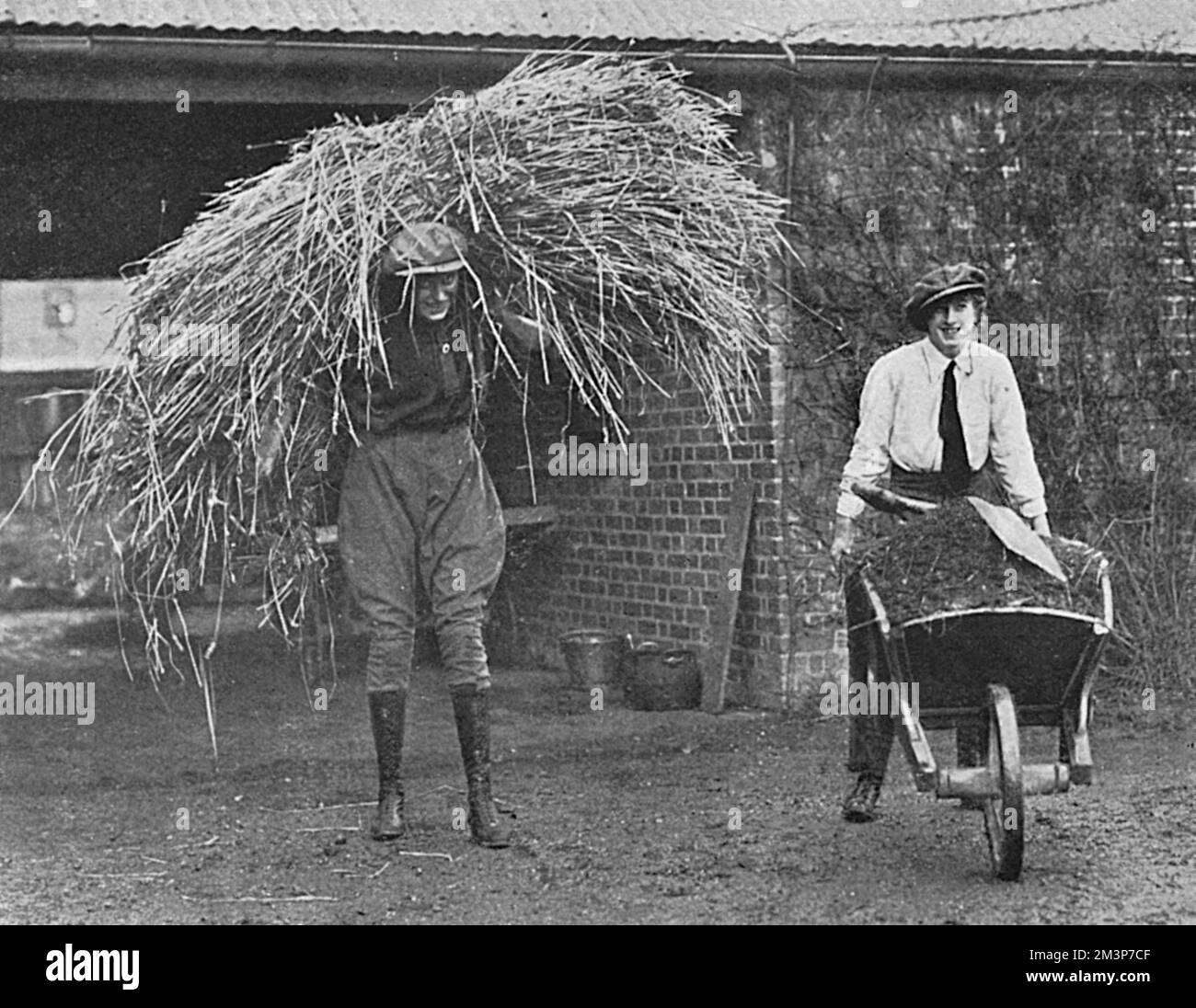 Mucking out horse Black and White Stock Photos & Images - Alamy