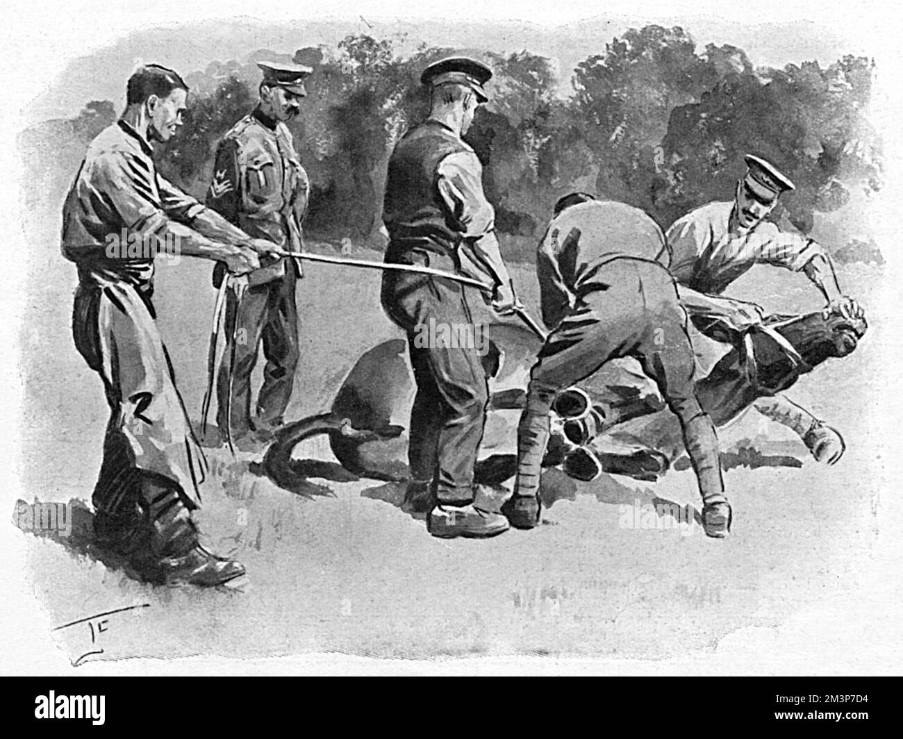 Trying to shoe a mule, WW1 Stock Photo - Alamy