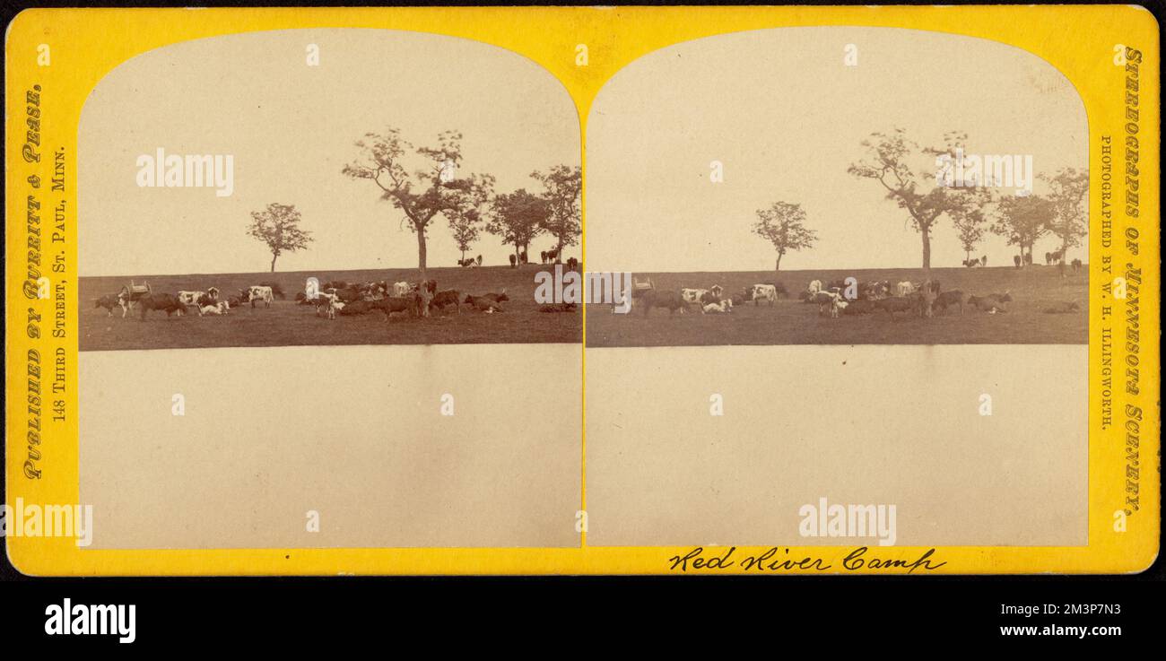 Red River camp , Waterfronts, Cattle Stock Photo - Alamy