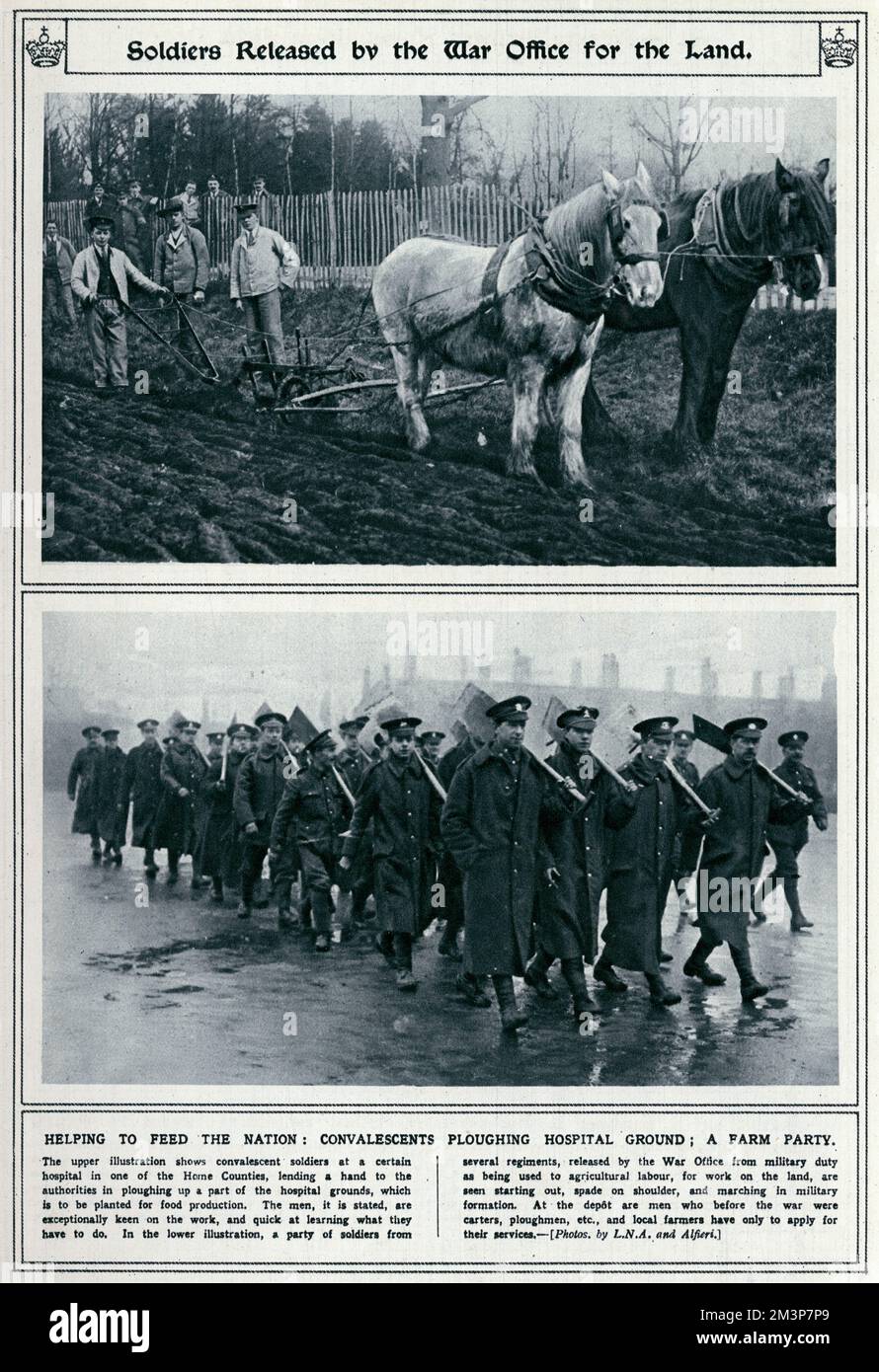 The land war hi-res stock photography and images - Alamy