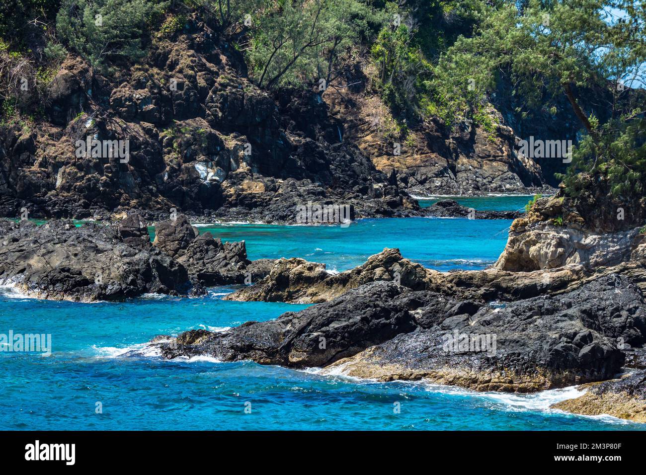 Lush pristine tropical island oasis in the Pacific Ocean - Jungle at ...