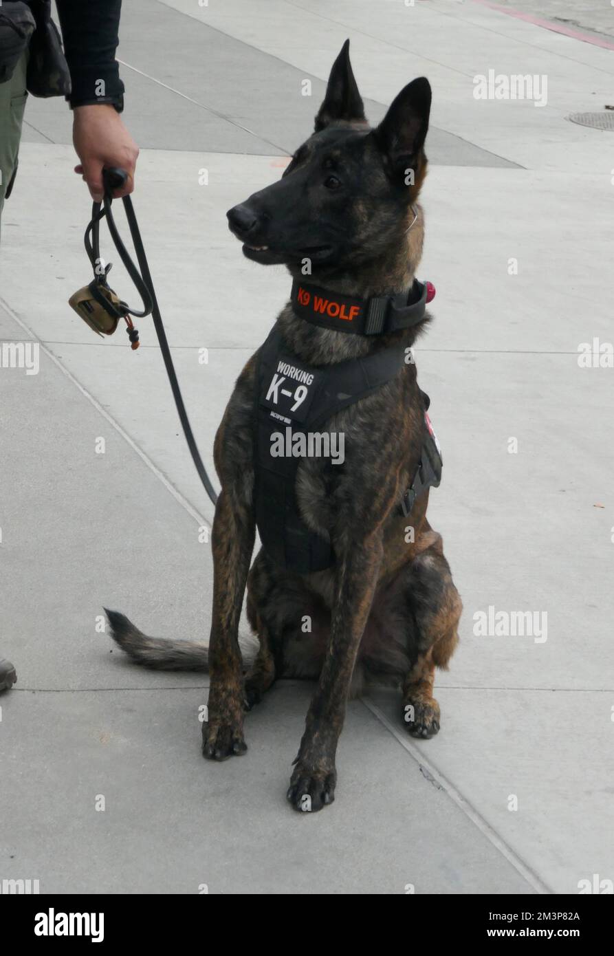 Los Angeles, California, USA 15th December 2022 K9 Dog at Global ...