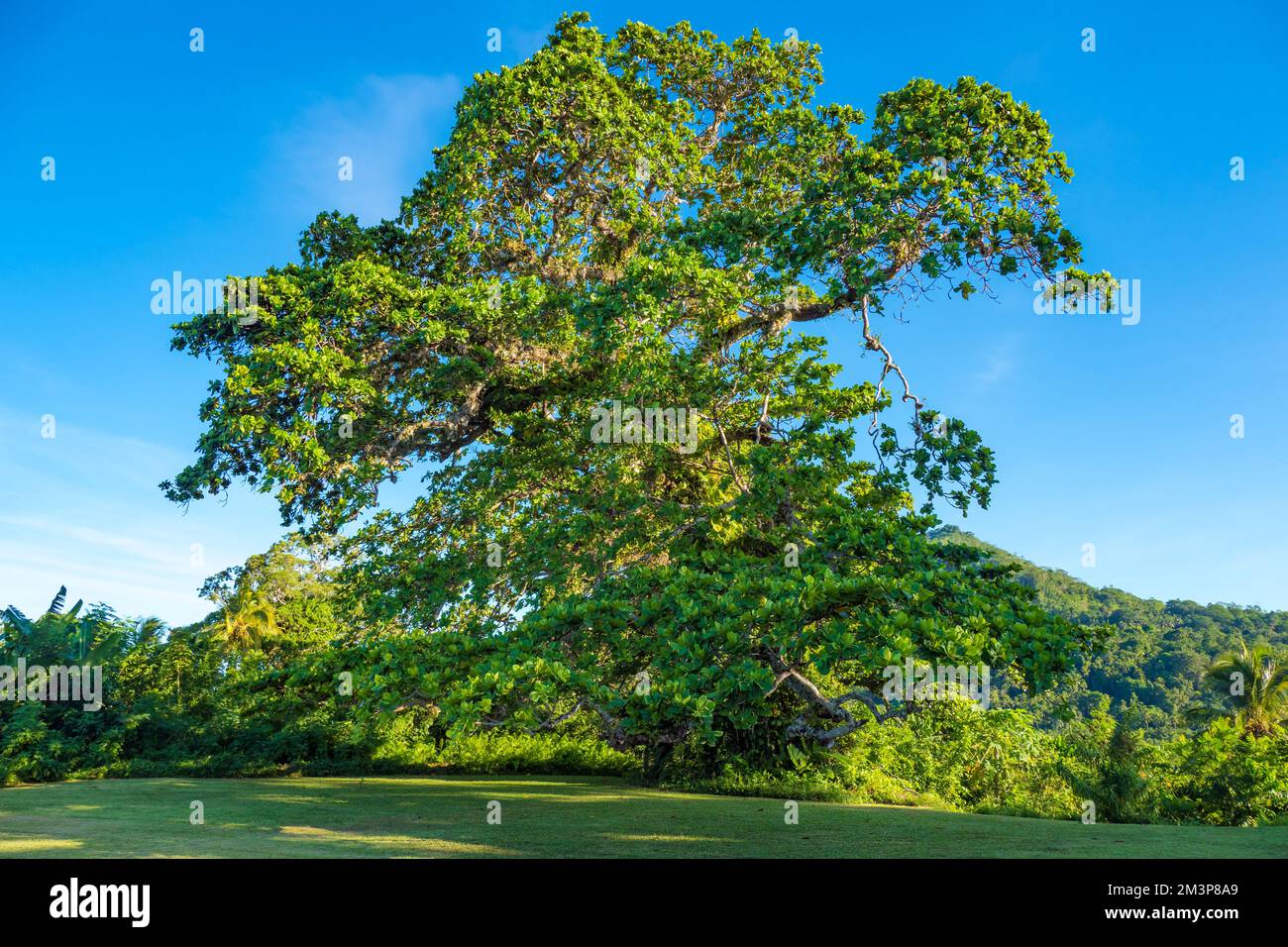 Wild Papua New Guinea - Tropical Paradise in one of the worlds most ...
