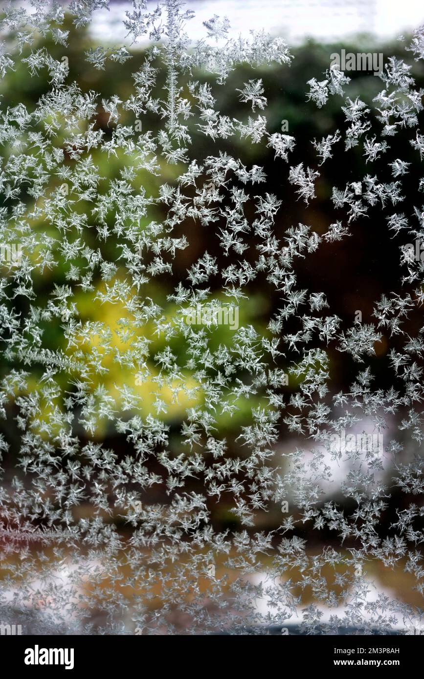 Heating costs smart meter hi-res stock photography and images - Alamy