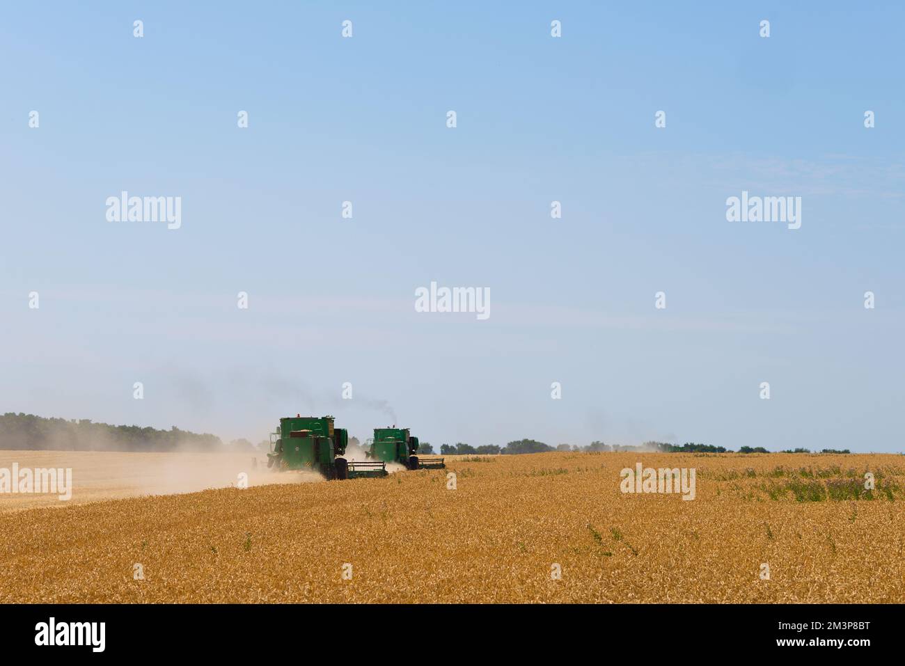 Summer farm job hi-res stock photography and images - Alamy
