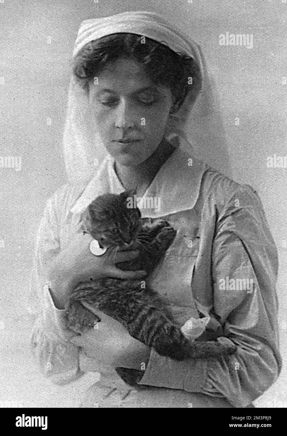 Mrs Congreve, wife of a VC and mother of a VC Stock Photo - Alamy