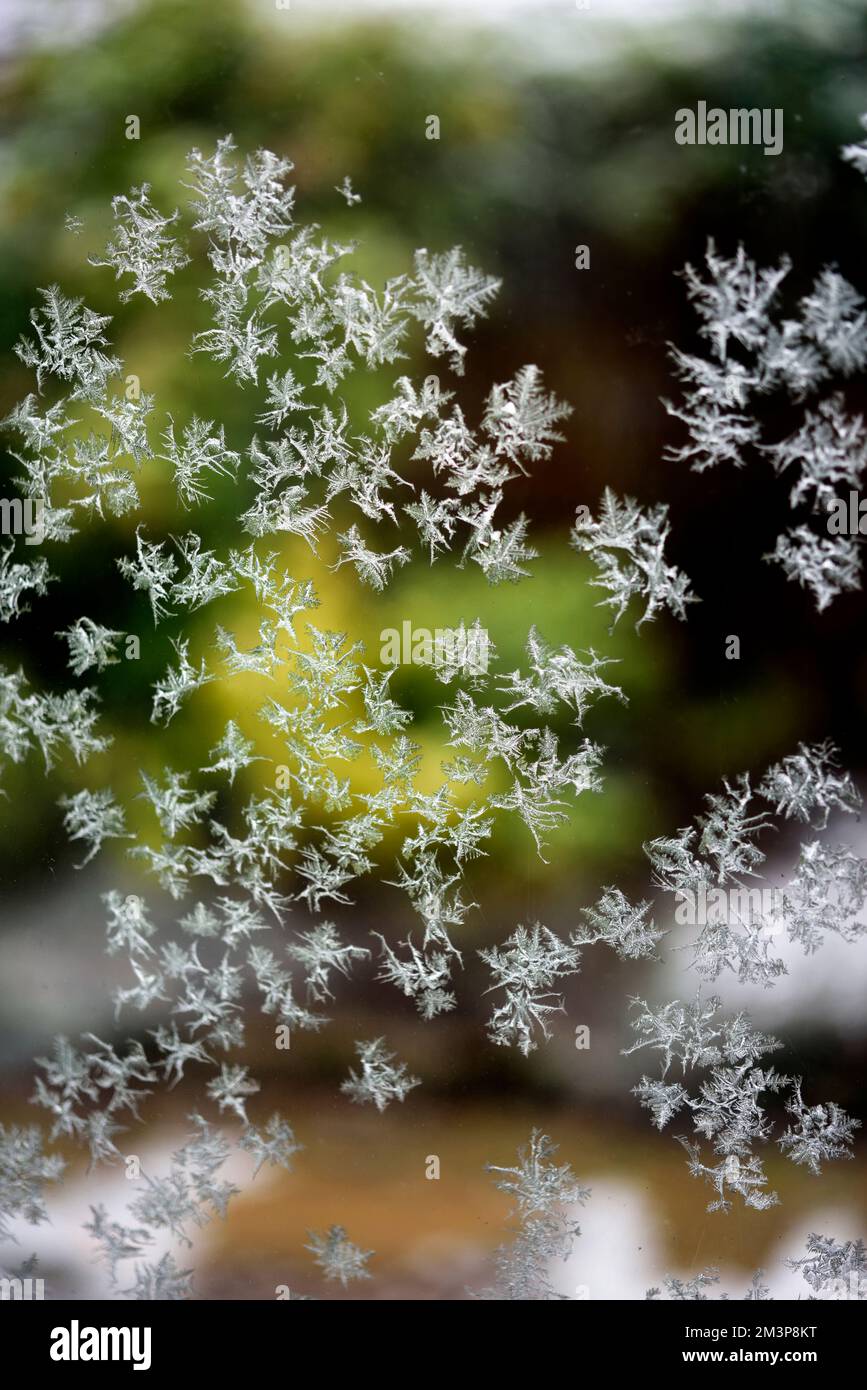 Heating costs smart meter hi-res stock photography and images - Alamy