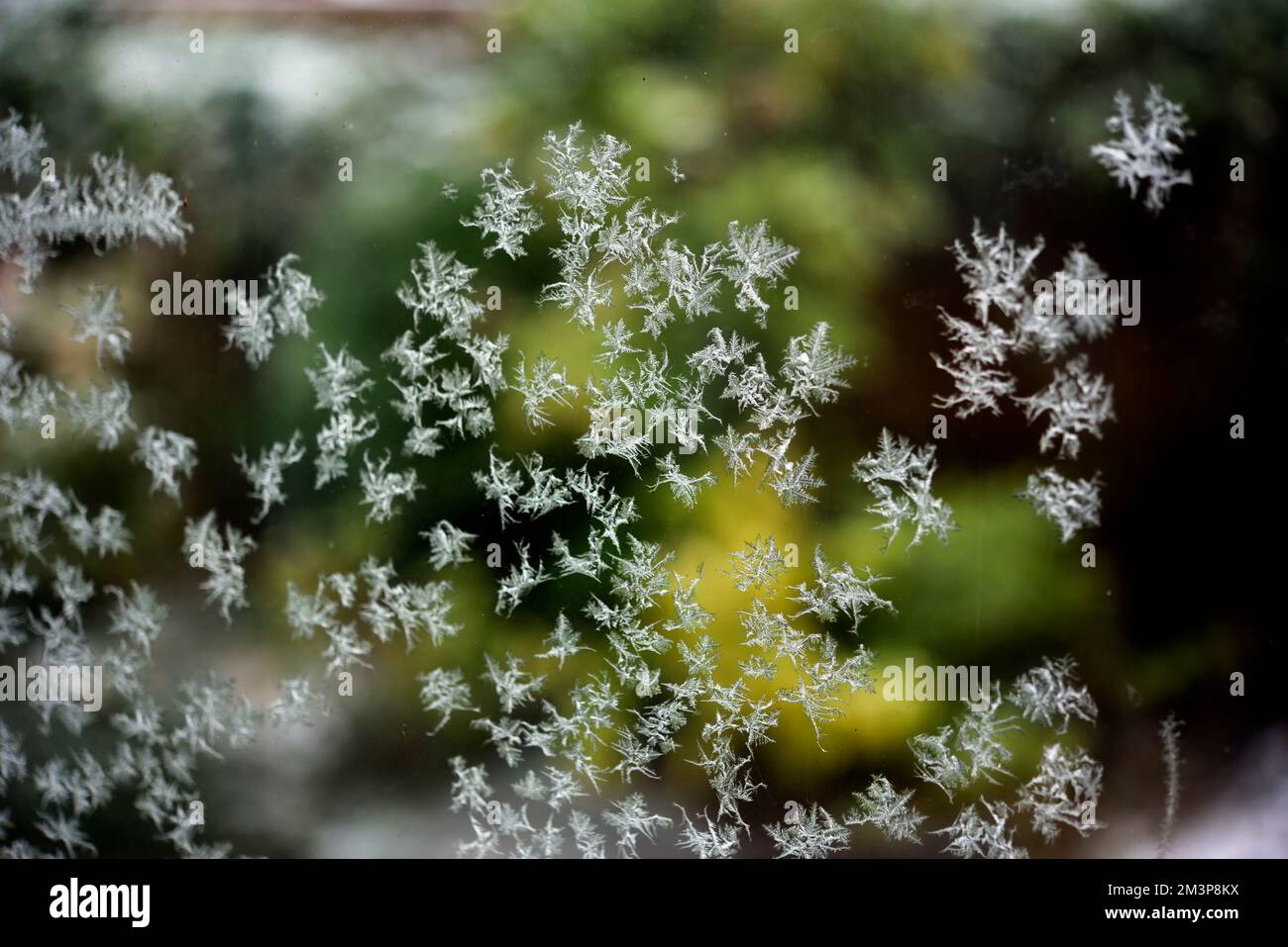 Freeezing temperatures hi-res stock photography and images - Alamy