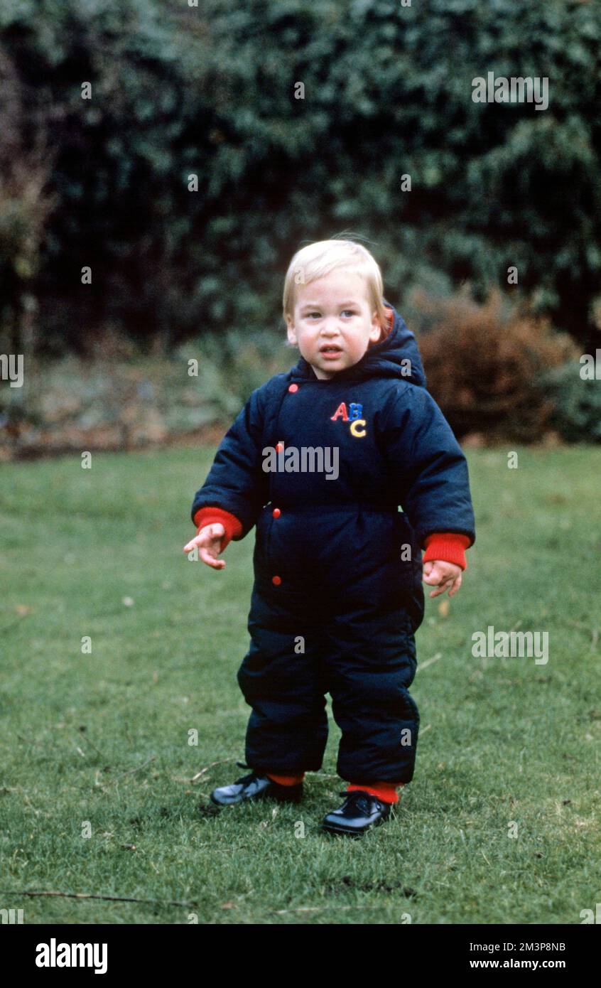 A young Prince William Stock Photo - Alamy