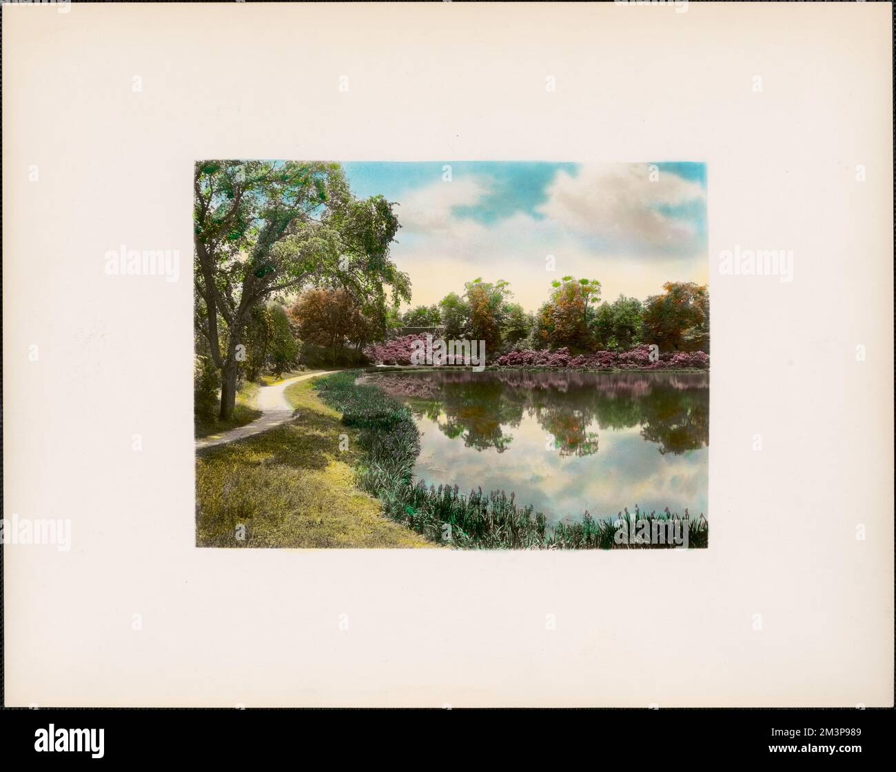 Reflecting clouds in Ward's Pond, looking down from Perkins Street ...