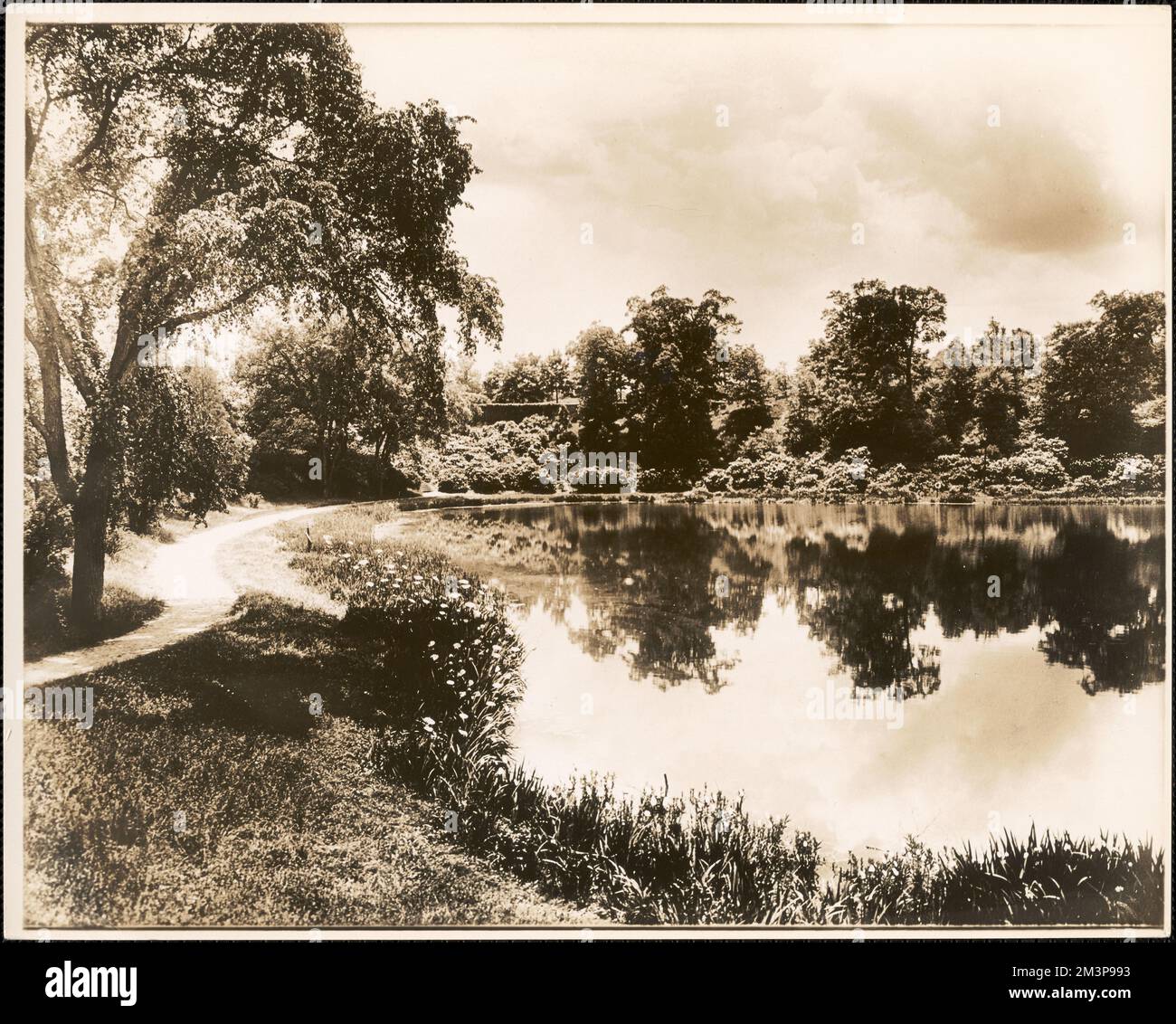 Reflecting clouds in Ward's Pond, looking down from Perkins Street ...