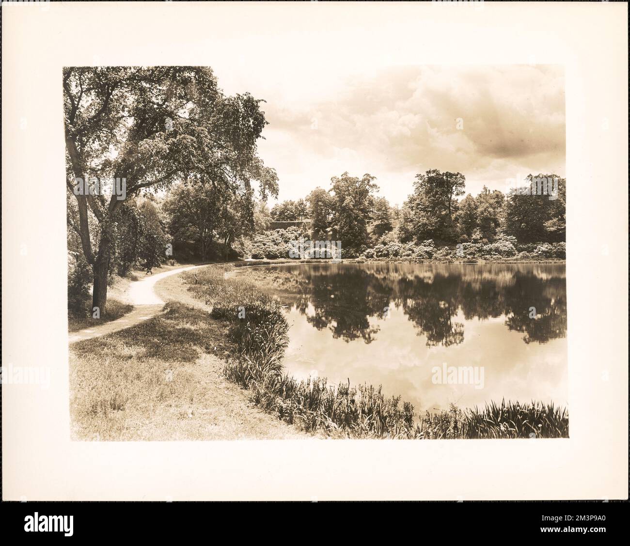 Reflecting clouds in Ward's Pond, looking down from Perkins Street ...