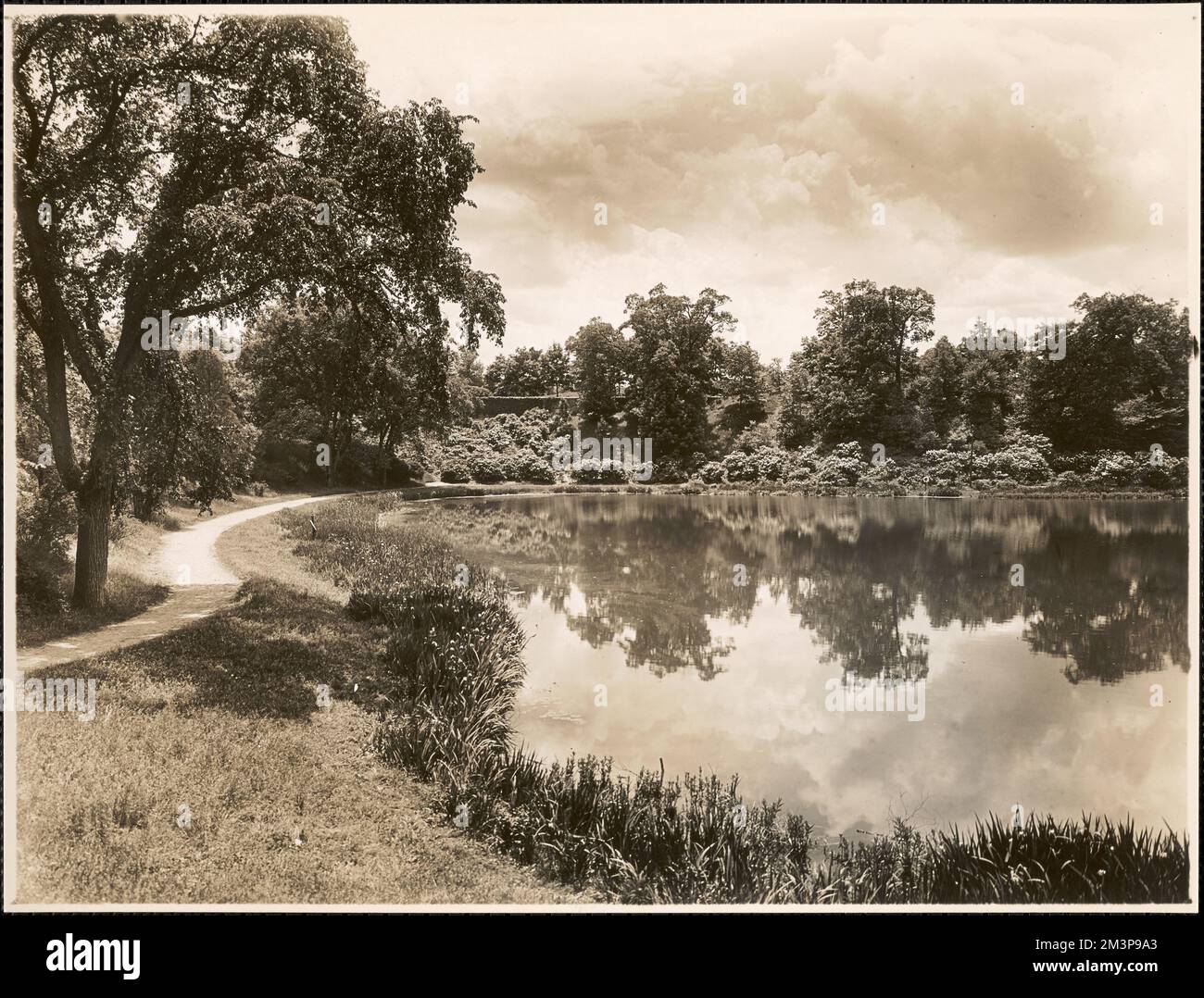 Reflecting clouds in Ward's Pond, looking down from Perkins Street ...