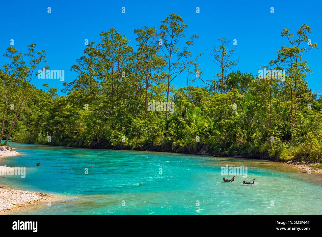 Pristine colorful turquoise water in the crystal river in papua New ...