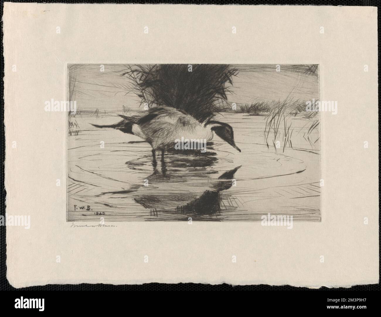 Reflections , Ducks, Bodies of water, Reflections. Frank W. Benson ...