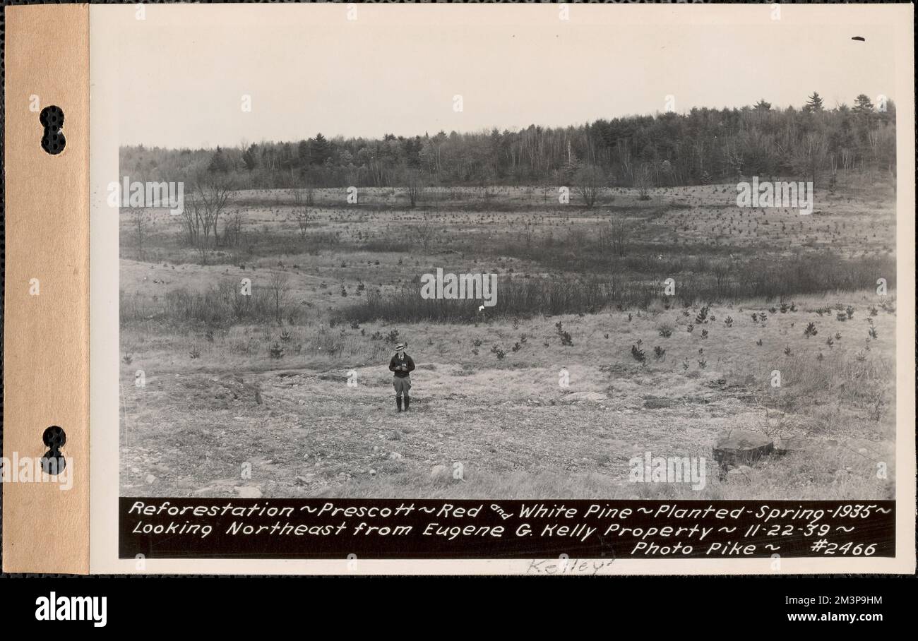 Mass reforestation hi-res stock photography and images - Alamy