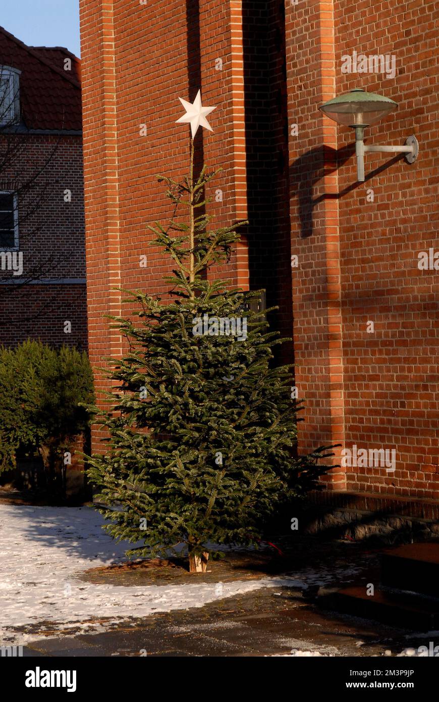 Copenhagen/Denmark/16 December 2022/ christmas tree in danish capital ...