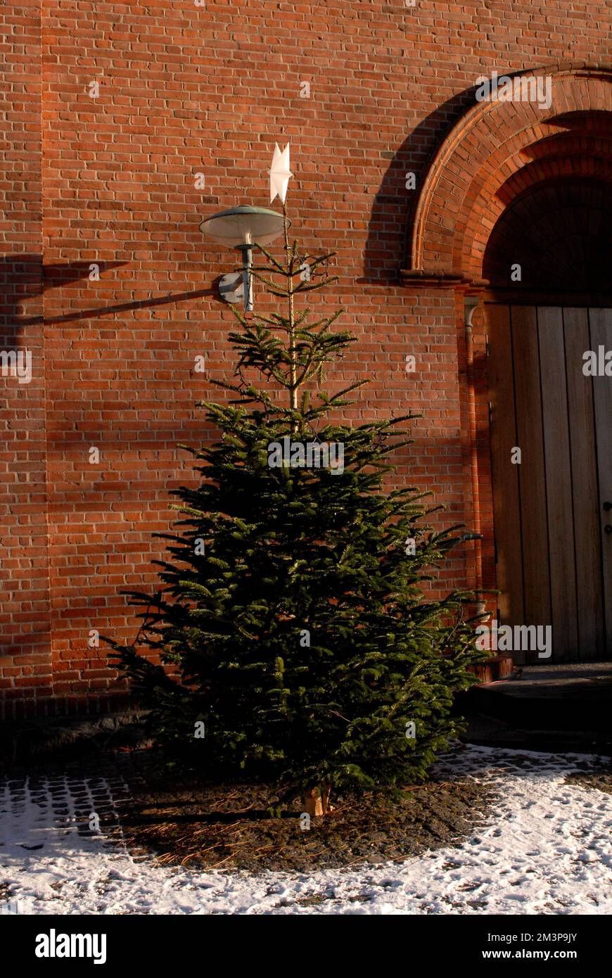 Copenhagen/Denmark/16 December 2022/ christmas tree in danish capital ...
