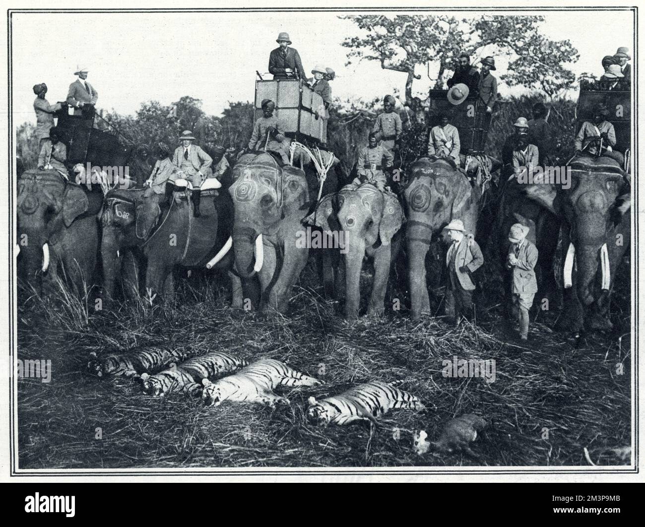 King George V hunting Stock Photo - Alamy