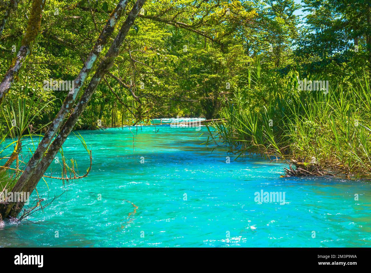 Pristine colorful turquoise water in the crystal river in papua New ...