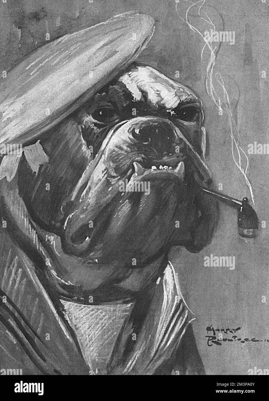 Wwi british war dogs hi-res stock photography and images - Alamy