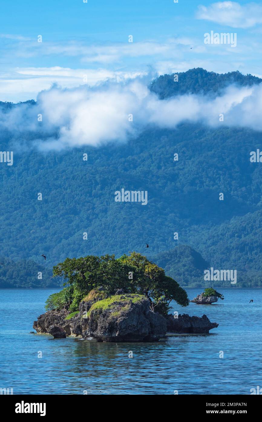 Trekking in papua new guinea hi-res stock photography and images - Alamy