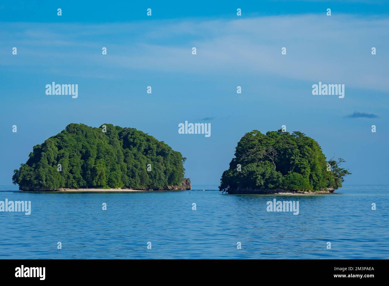 Trekking in papua new guinea hi-res stock photography and images - Alamy