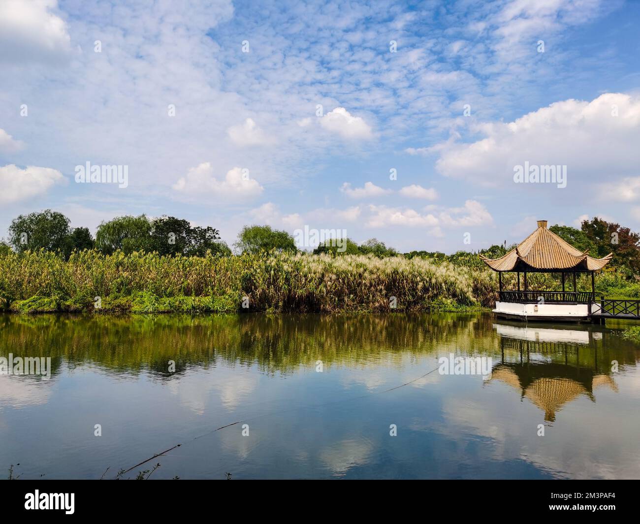 A chinese pavilion in the Shajiabang National Wetland Park on a sunny ...