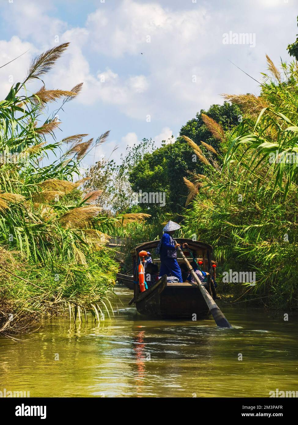 A vertical of a man riding a boat in the Shajiabang National Wetland ...