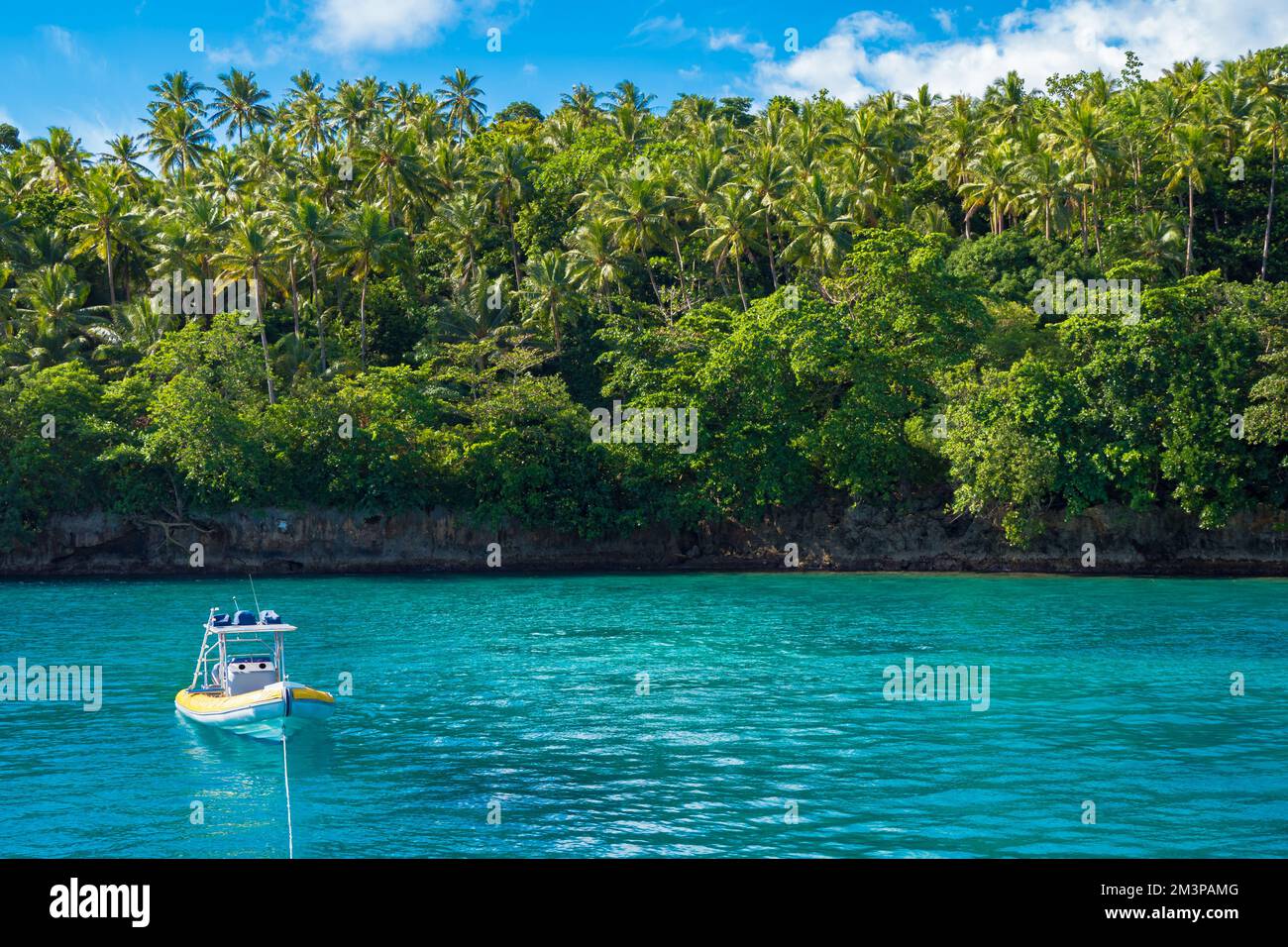 Lush pristine tropical island oasis in the Pacific Ocean - Jungle at ...