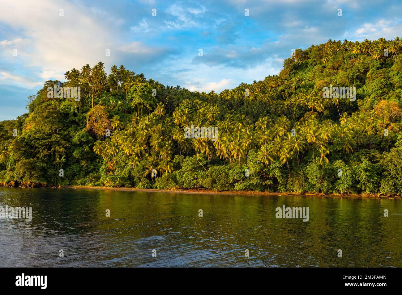 Lush pristine tropical island oasis in the Pacific Ocean - Jungle at ...