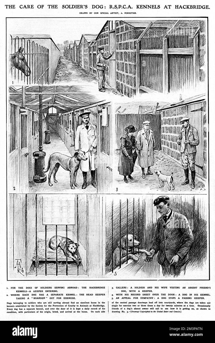 RSPCA kennels for soldiers' dogs at Hackbridge Stock Photo - Alamy