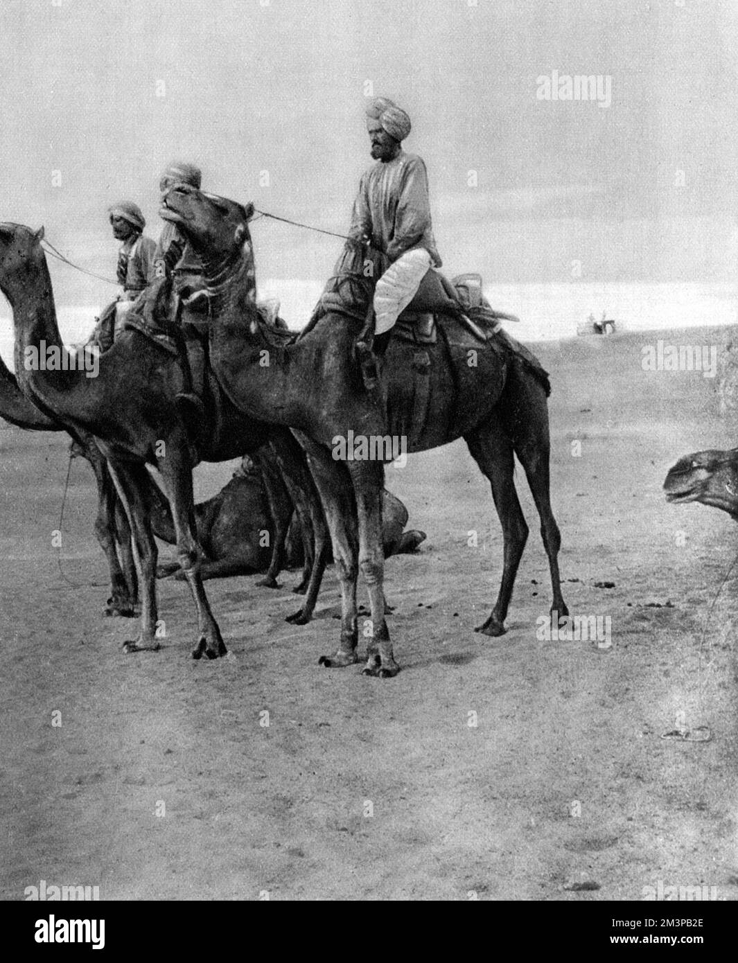 Indian camel sowars in Egypt during the First World War Stock Photo - Alamy