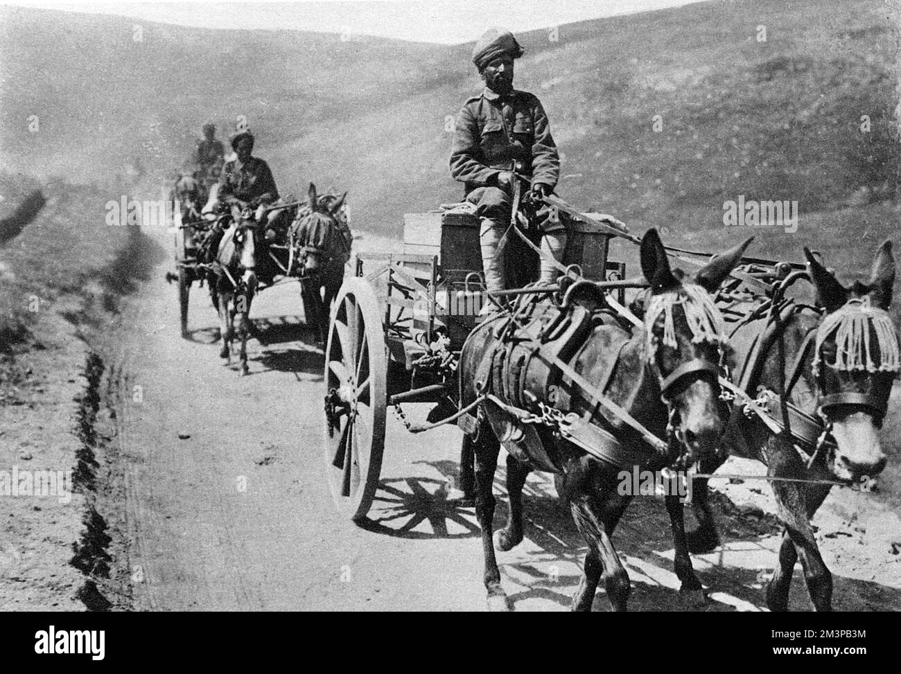 Mule carts of the Indian transport service at Salonika during the First ...