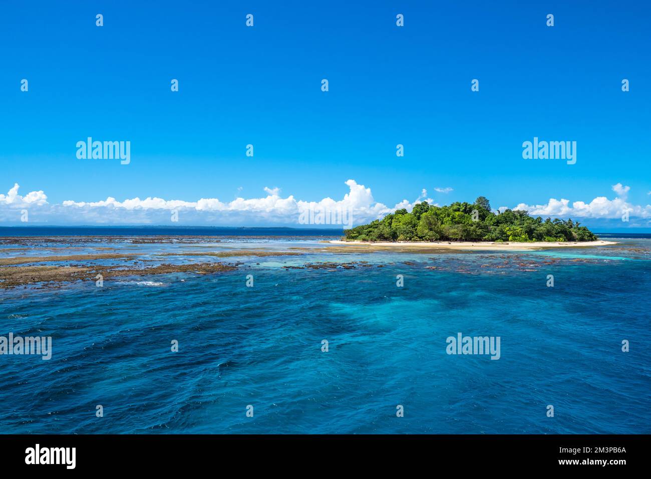 Lush pristine tropical island oasis in the Pacific Ocean - Jungle at ...