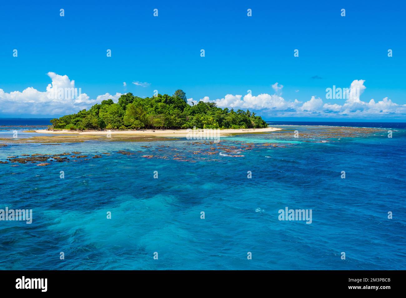 Lush pristine tropical island oasis in the Pacific Ocean - Jungle at ...