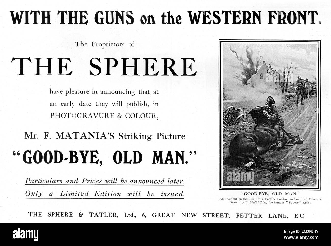 Old horse advertisement Cut Out Stock Images & Pictures - Alamy