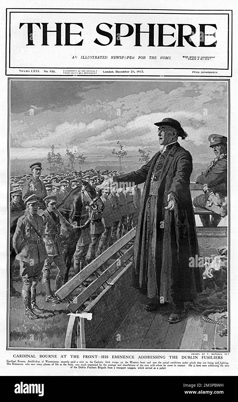 One cardinal Black and White Stock Photos & Images - Alamy