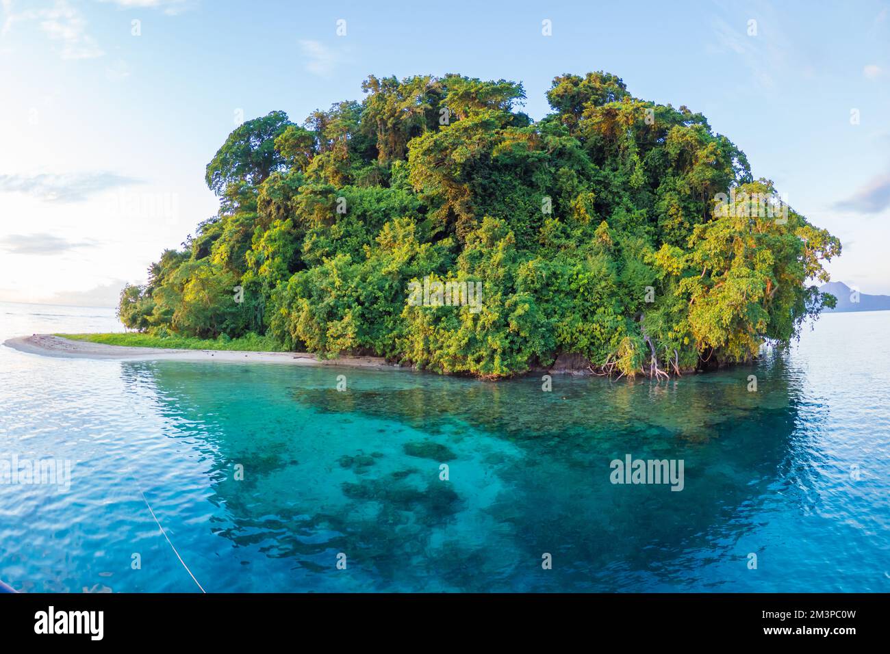 Lush pristine tropical island oasis in the Pacific Ocean - Jungle at ...