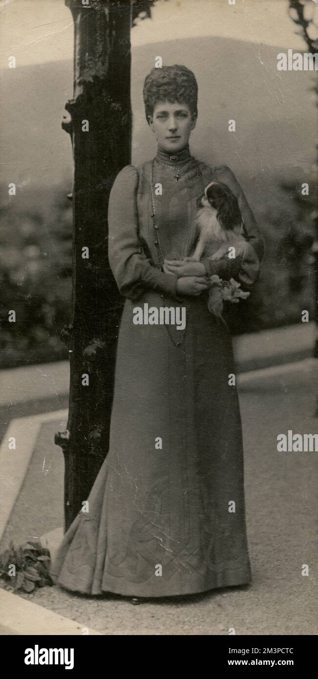 Queen Alexandra with Japanese Chin Stock Photo - Alamy