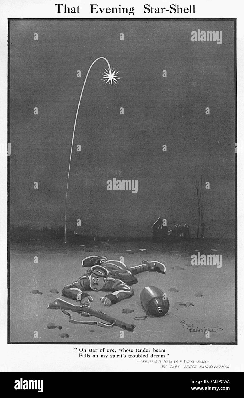 Shell star hi-res stock photography and images - Alamy