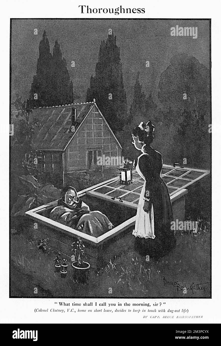 Thoroughness by Bairnsfather Stock Photo - Alamy