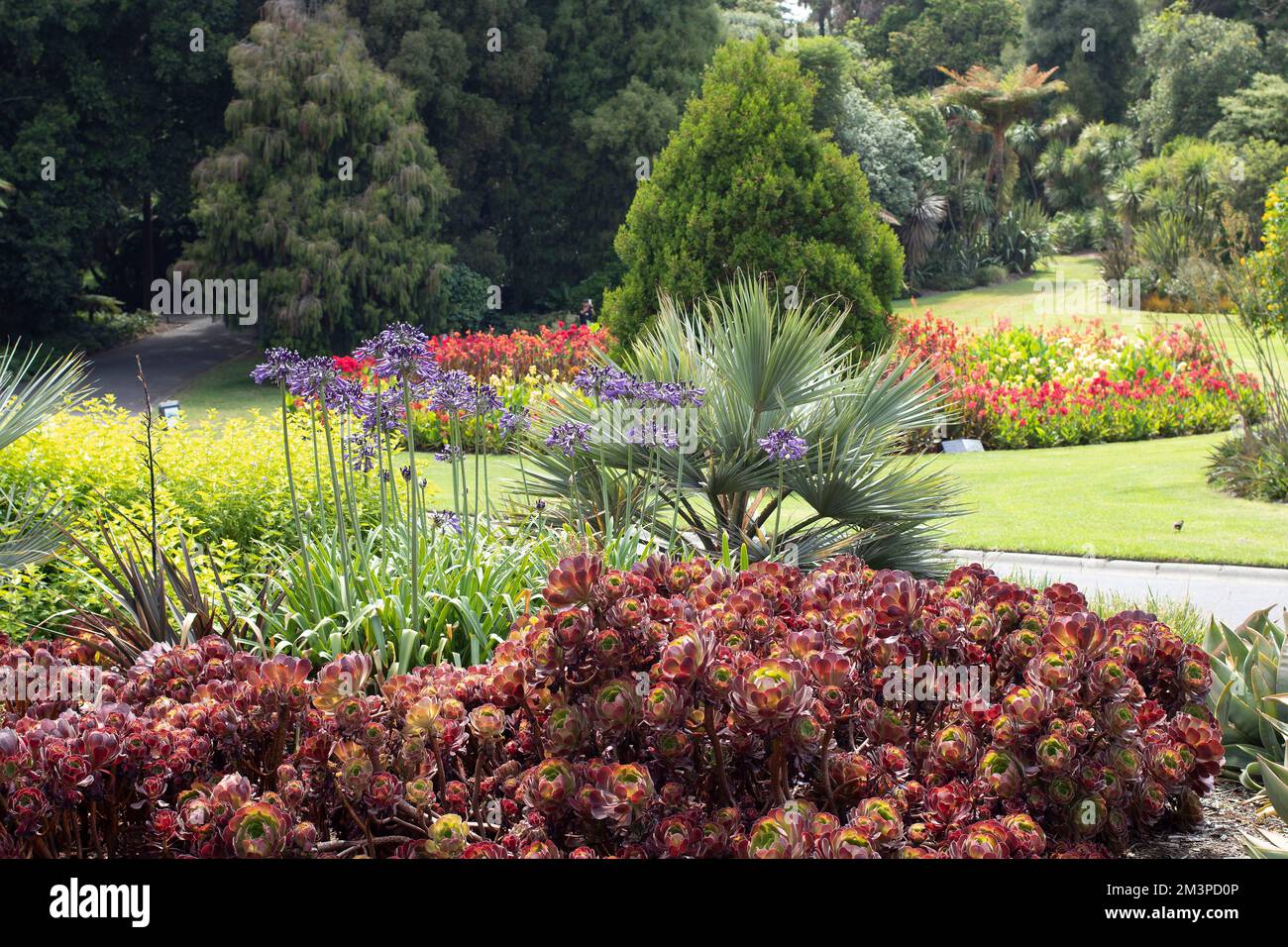 The Royal Botanical Gardens at Melbourne, Victoria, Australia Stock ...